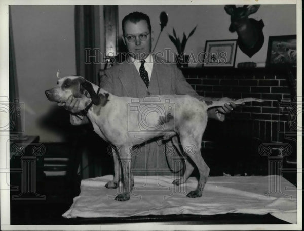 1936 Dr Jerry Ruble And his new Field Trial dog - nea46883 - Historic ...