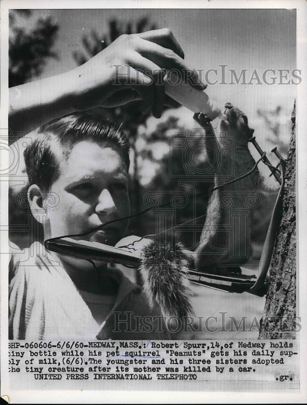 1960 Press Photo Robert Spurr & his pet sqirrel "Peanuts" in Medway, M ...