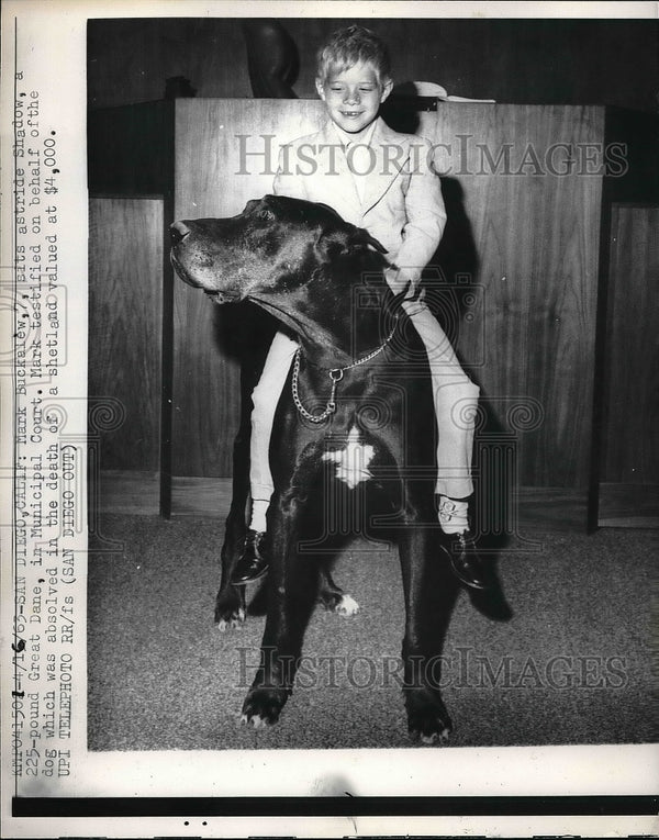 1963 Press Photo Mark Buckalew sits on Great Dane Municipal Court - ne ...