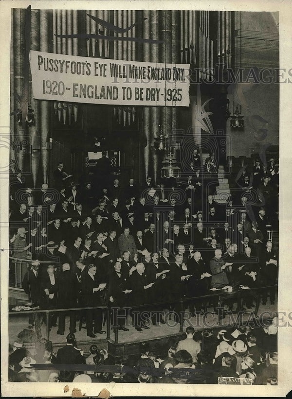 1920 Great Strength of Britain Movement demonstration, Central Hall ...