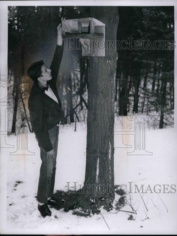 1958 Bruce Gibbons Age 14 Feeding birds - Historic Images
