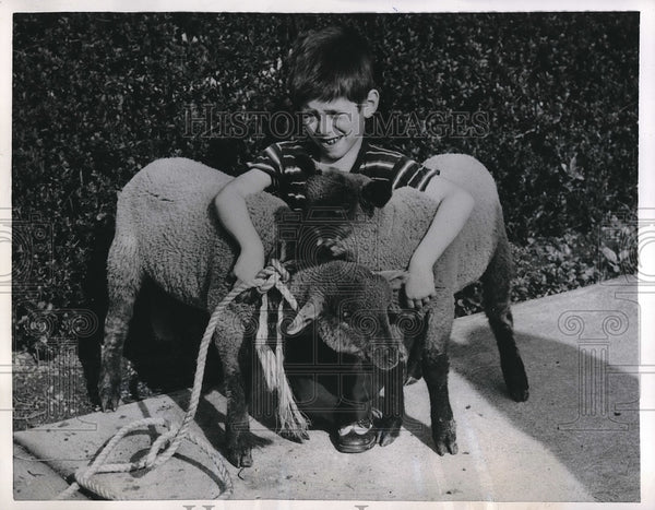 1955 Child George Lignos Playing with Lambs in Cleveland, Ohio ...