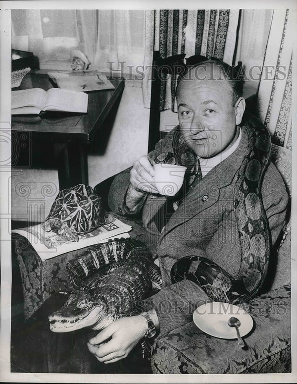 1956 George Boyce and his Boa Constrictor, gator, turtle in London ...