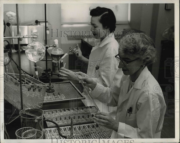 1957 Dr. Harry Eagle Head Of This Project In The National Institute ...