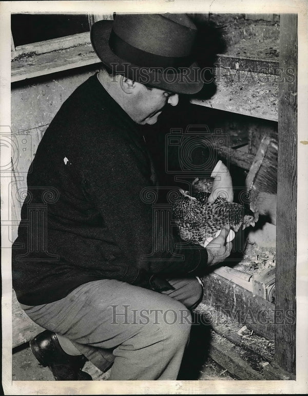 1944 Press Photo Robert Negri with pigeons hatching - Historic Images