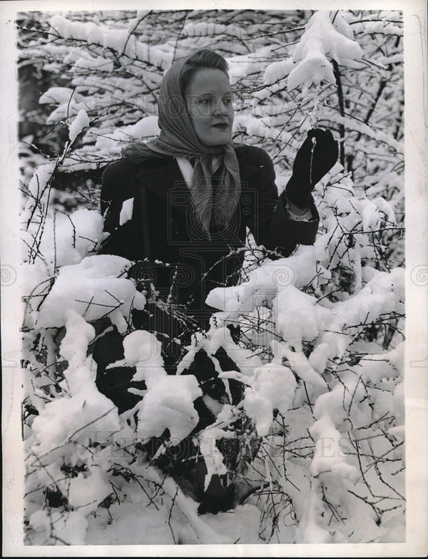1945 Press Photo Martha Anderson of Ga., snow covered tress in Central ...