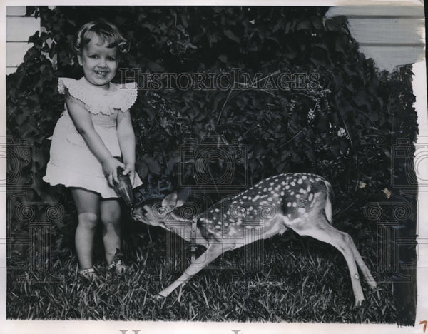 1949 Press Photo Alice, Tex. Diana Basham age 2 feeds a fawn - Historic ...