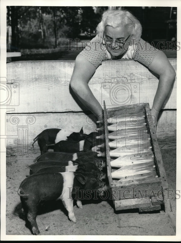 1958 Memphis, TN Mrs Ernest Giaccaglia & some piglets - Historic Images