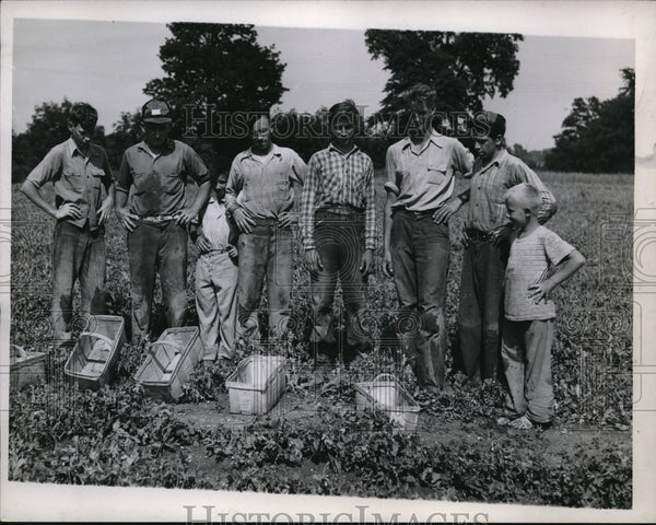 1946 Press Photo Disgusted Pea Pickers - Historic Images