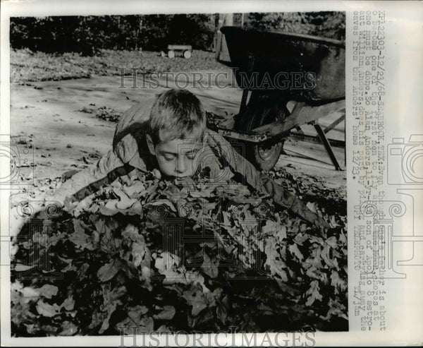 1969 Press Photo Alan Anders piling and carrying away the leaves ...