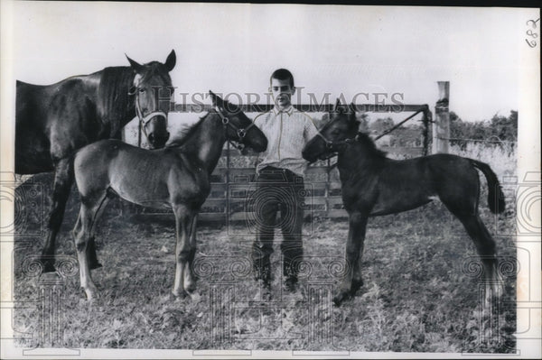 1965 Press Photo Logansport Ind David Willie holds halters of twin col ...