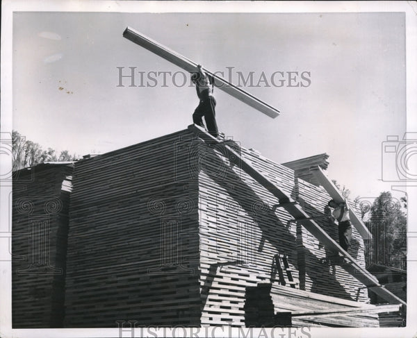 1950 Press Photo Workmen stack lumber for curing process at a mill ...