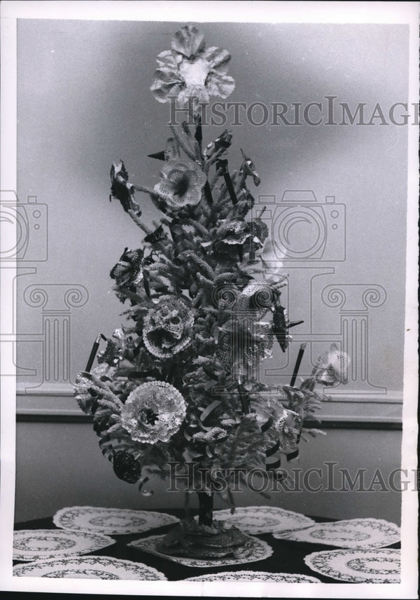 1954 Press Photo Dwarf Christmas trees, specialty of Halvorson Trees,D ...
