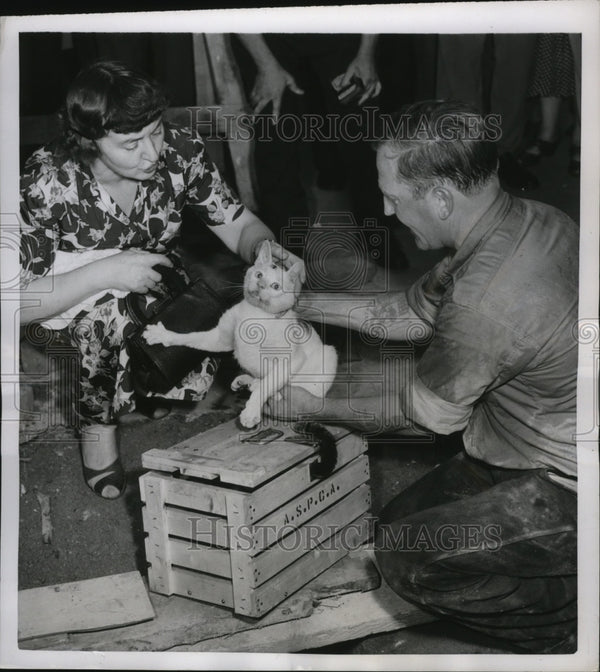 1951 Press Photo New York Tom Morton & Mrs. Vernon Hellar with momma c ...