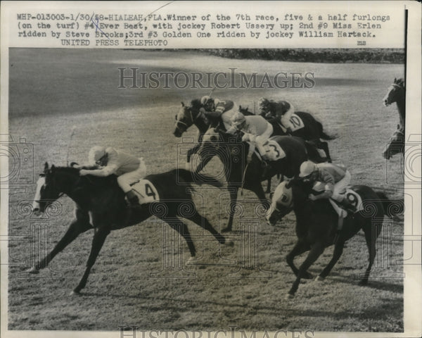 1958 Press Photo Ever Best bears Miss Erlen and Golden One at Hialeah ...