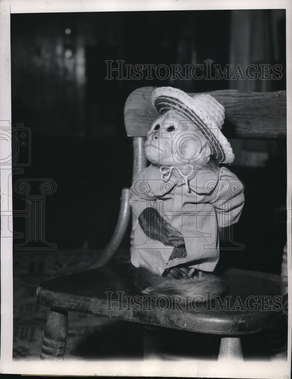1946 Press Photo Pancho boasting his red jacket & Mexican hat at Marni ...
