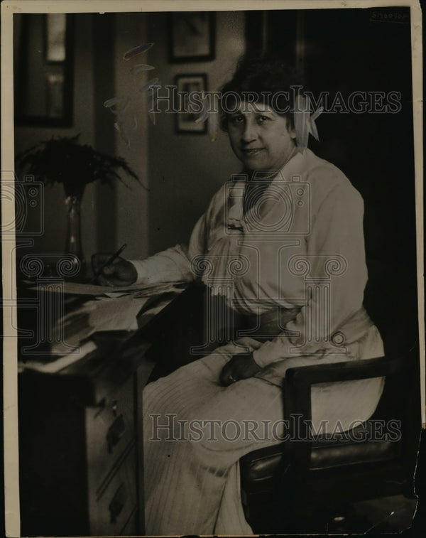 1919 Press Photo Mrs Etthel Parks Democratic Natl Committee finance de ...