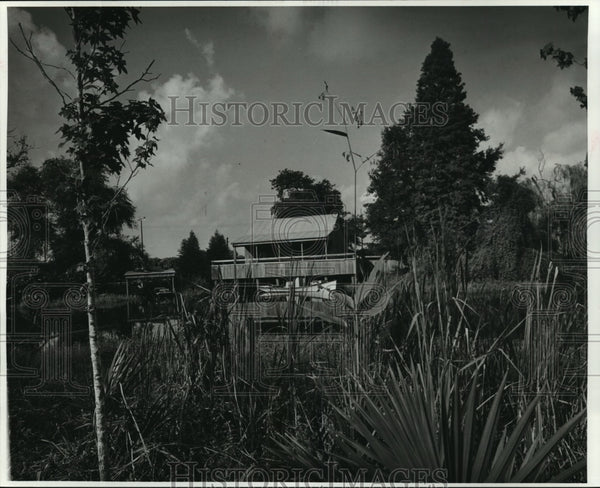 1985 Press Photo Audubon Park Zoo - Louisiana Swamp Exhibit, New Orlea ...