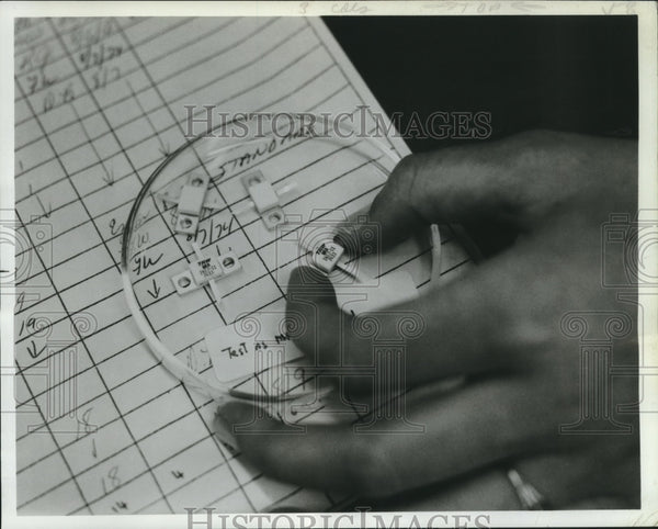 1974 Press Photo Magnified transistor is modern electronic devices ...