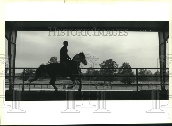 1991 Press Photo Richard Freeman of Freeman Arabians farm during ridin ...