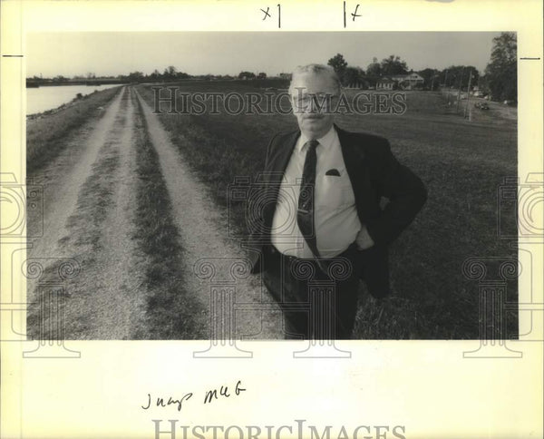 1990 Press Photo Ray King stands on Mississippi River levee - Historic ...