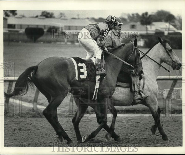 1977 Press Photo Jockey Willie Shoemaker ponied to the starting line ...