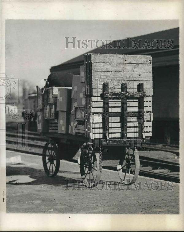 Press Photo Same cats in one of five crates of laboratory bound pets ...