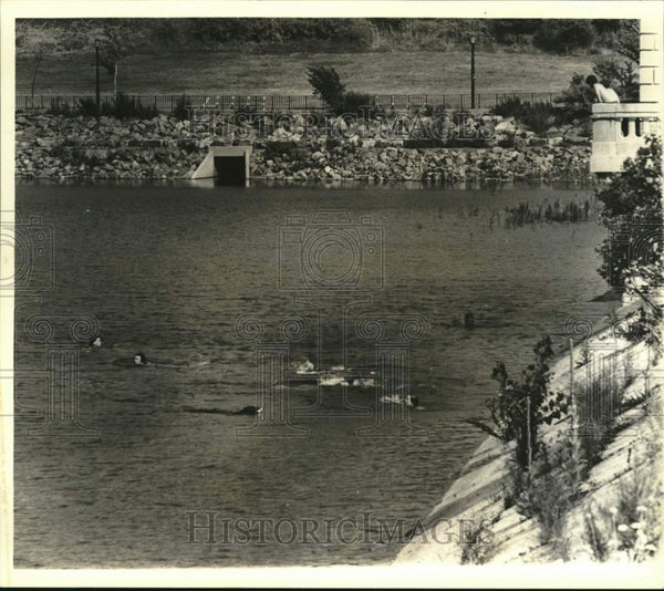 1982 Press Photo Swimmers swimming in Silver Lake Reservoir - sia08696 ...