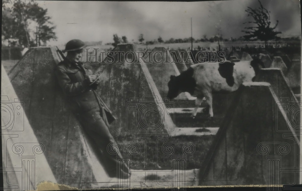 1944 Press Photo Dragon's teeth, obstacles in the Siegfried line - spa ...