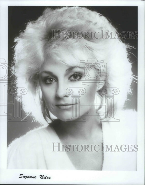 1991 Press Photo Models & Modeling - Suzanne Niles - Historic Images