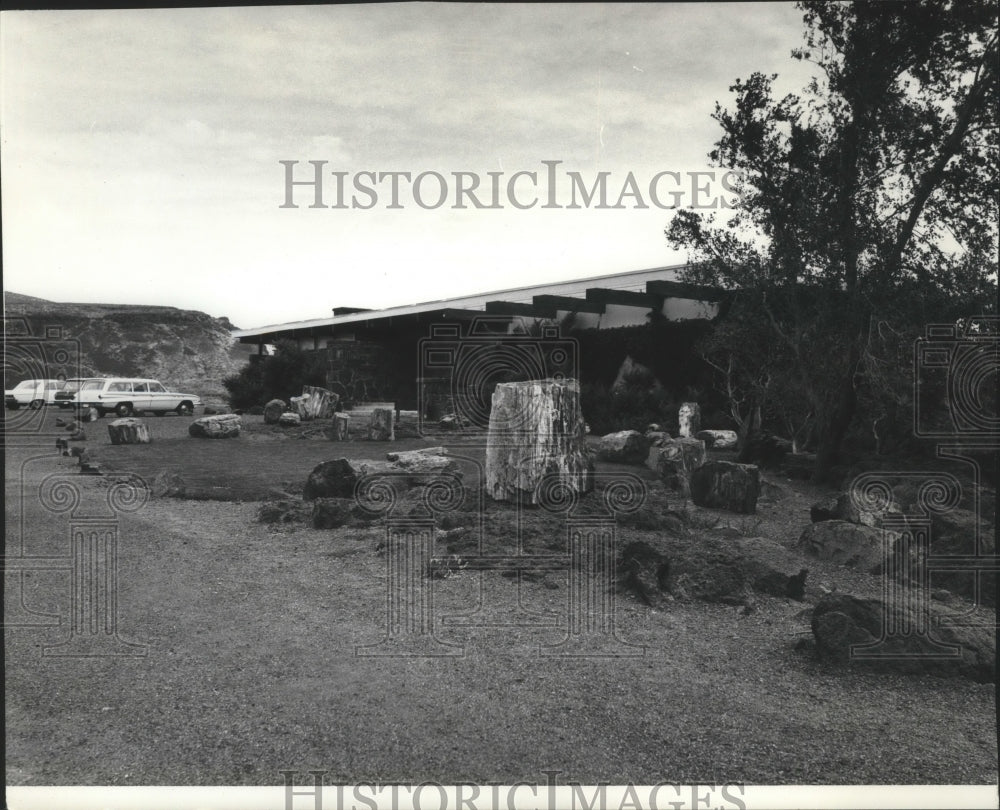 Ginkgo Petrified Forest Interpretive Center