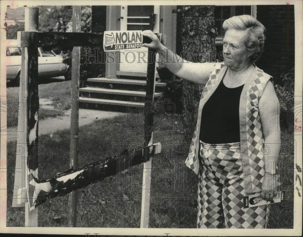 1976 Dorothy Sarrfield puts Howard Nolan for State Senator sticker ...