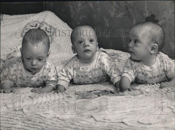 1952 Press Photo The Slauson Triplets of Sherwood Park - tub14047 ...