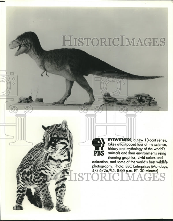 1995 Scenes from the PBS science series Eyewitness - tup02269 ...