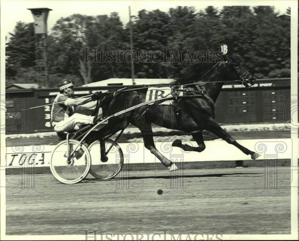 Press Photo Harness race horse Incredible Levels in action at Saratoga ...