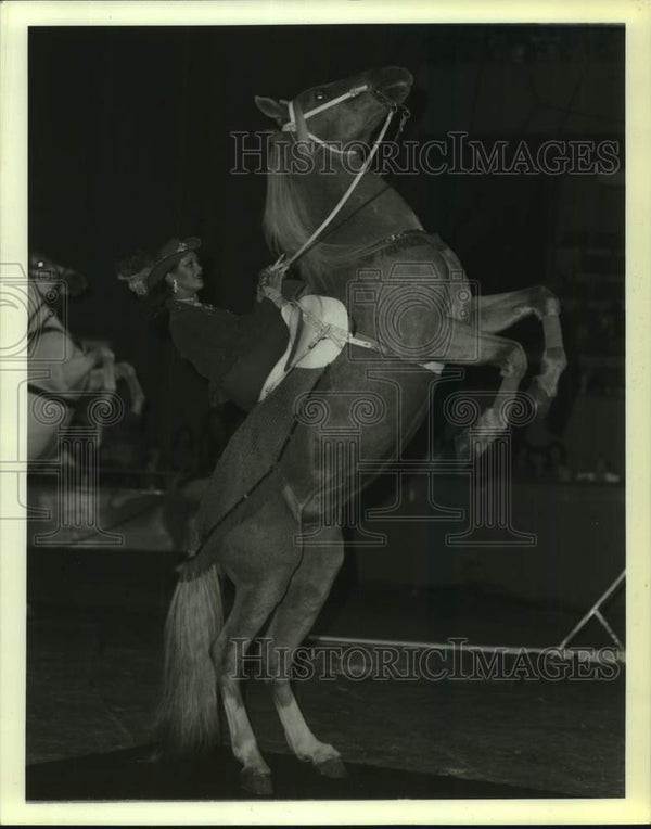 1980 Lipizzaner Stallion Tony the Wonder Horse performs in New York ...